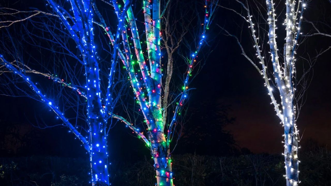 10 ways to decorate outdoor trees for Christmas with lights | Real Homes