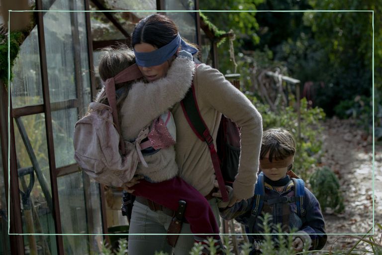 Everything we know about the Bird Box sequel | GoodtoKnow