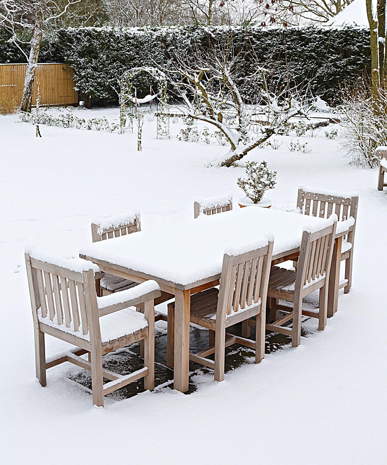 Will snow damage a lawn? Winter lawn repair tips you need now | Homes ...
