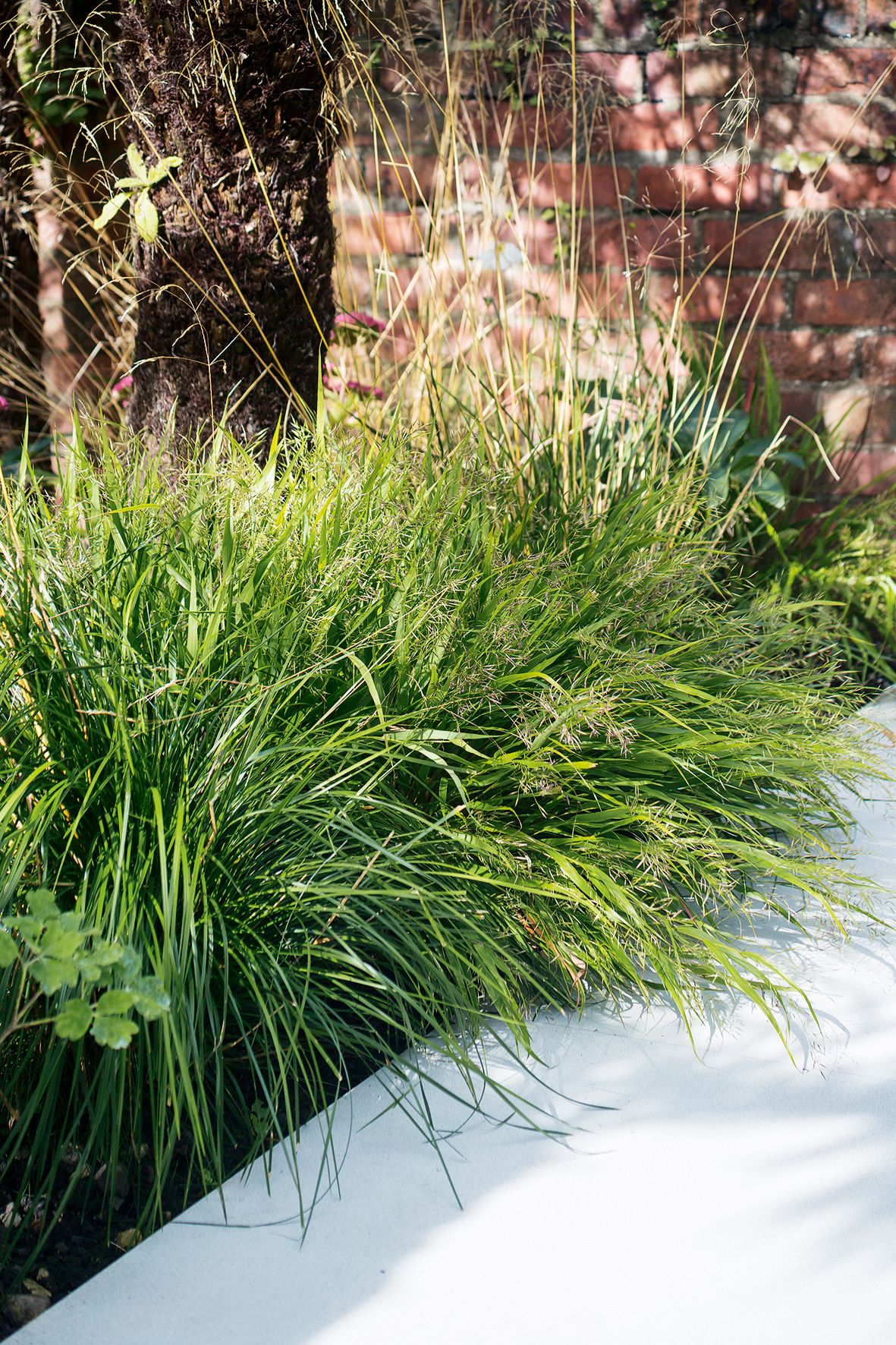 Garden makeover: a tiny plot revamped into a dream garden in just 2 ...