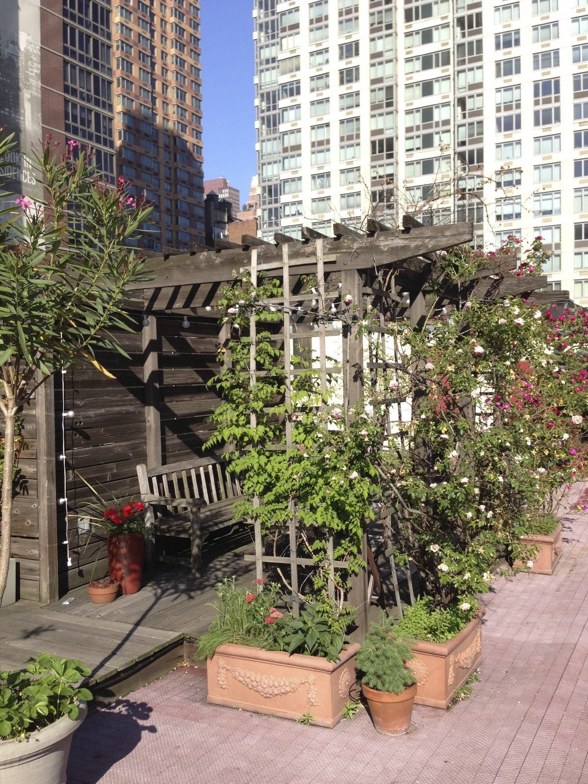Urban Gardening: The Ultimate Guide To City Gardening | Gardening Know How