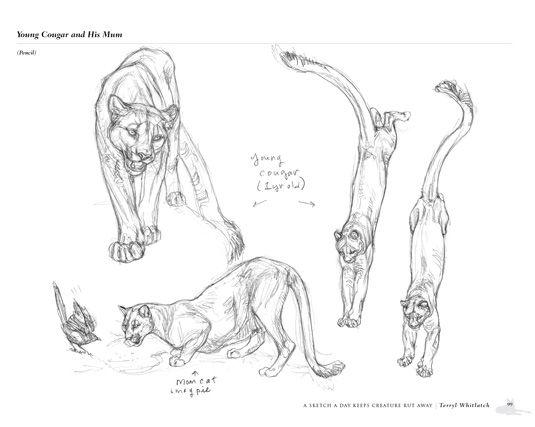 Review: Principles of Creature Design | Creative Bloq Review: Principles of Creature Design | Creative Bloq
