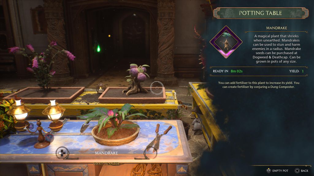 Hogwarts Legacy Mandrakes: how to find them or grow your own | GamesRadar+