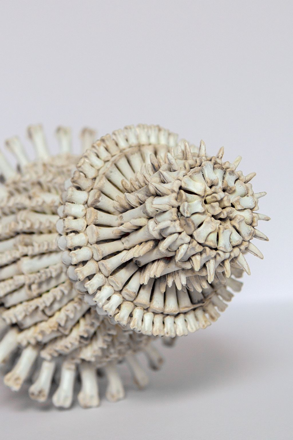 Emma Witter creates works from oyster shells and bones | Wallpaper*