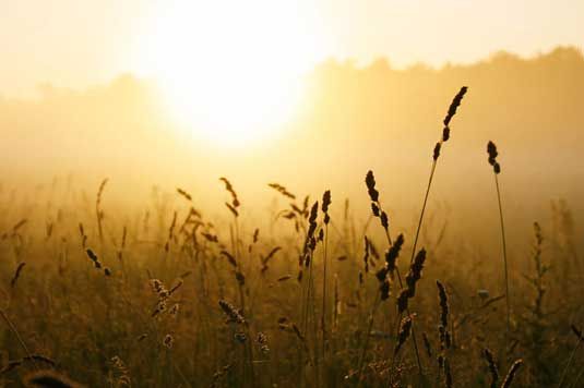 20 expert tips to improve your bitmap illustration | Creative Bloq