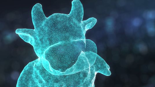 This amazing free app makes 3D photos | Creative Bloq