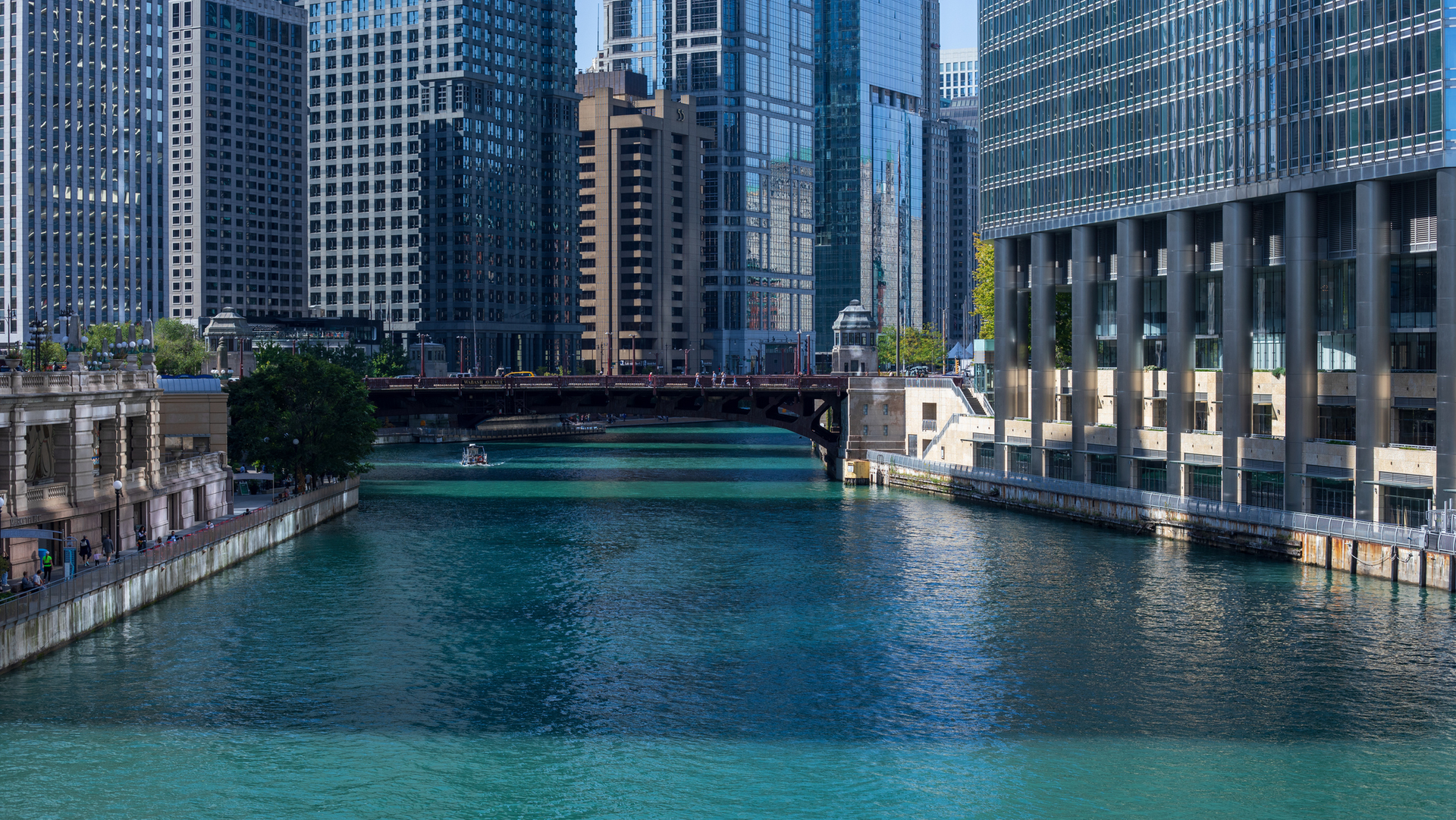 Open water swimmers to race in Chicago River for the first time in ...