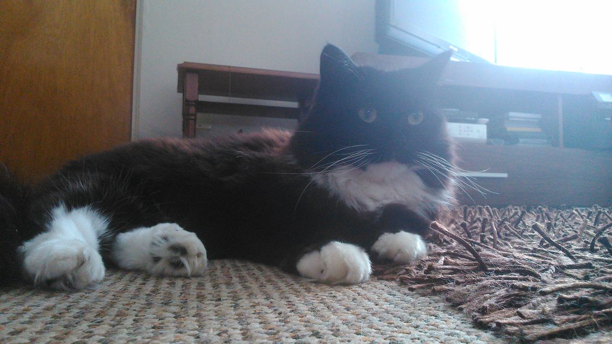 Camera - Sony Xperia L review - Page 6 | TechRadar