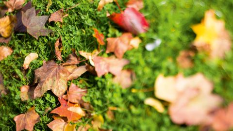 How to capture creative autumn shots | Digital Camera World