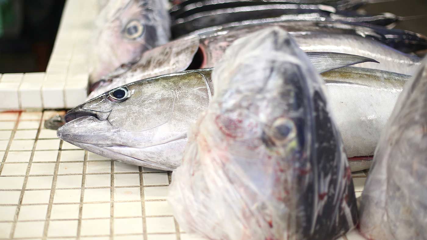 The town blighted by vats of rotting seafood sauce | The Week