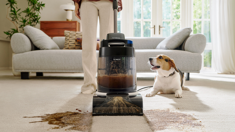 How to get rid of springtail bugs in the house | Homes and Gardens