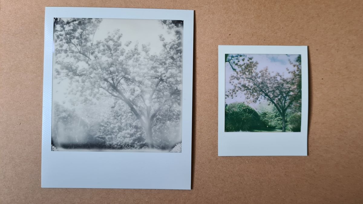 Polaroid Go vs Polaroid Now: which is the best instant camera for you ...