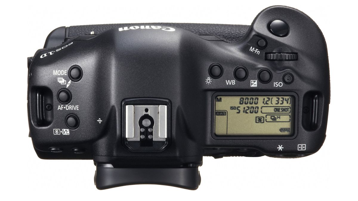 Build quality and handling - Canon 1DX review - Page 2 | TechRadar