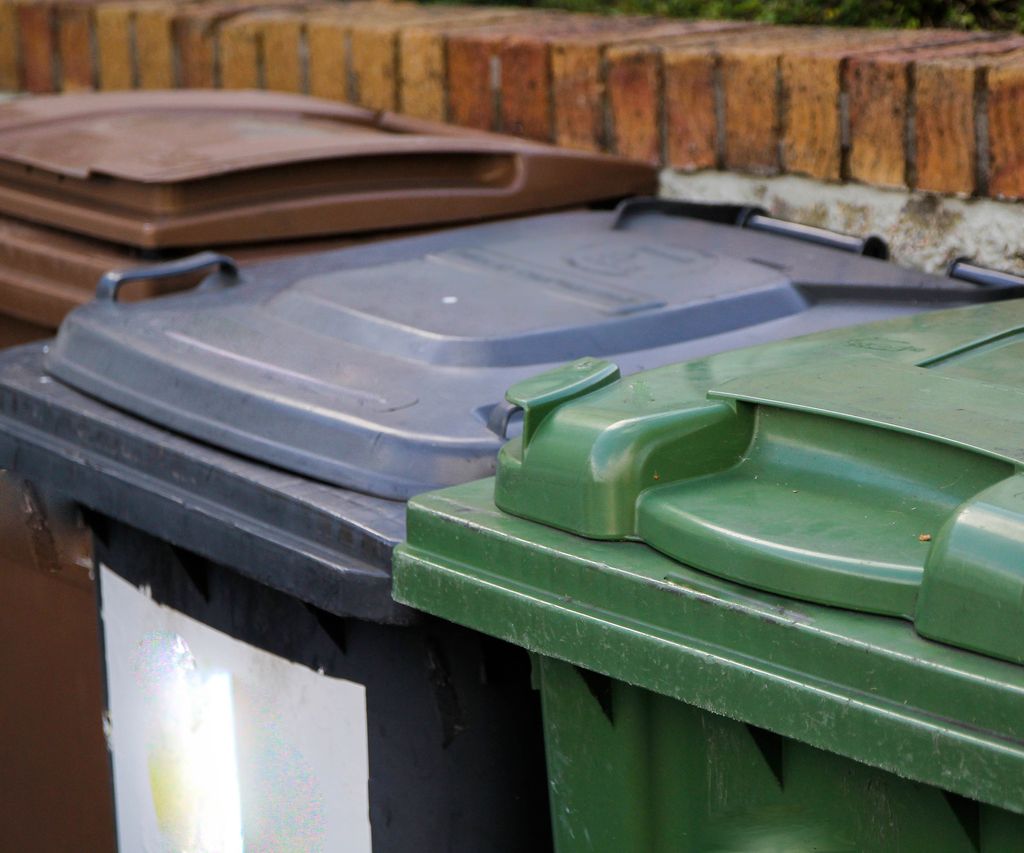 How to get rid of maggots in your bins | Homebuilding