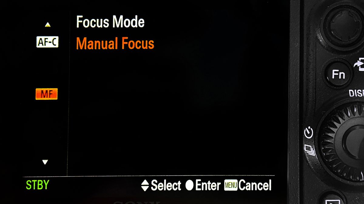 Wildlife photography with a twist: Capture birds in flight with this ...