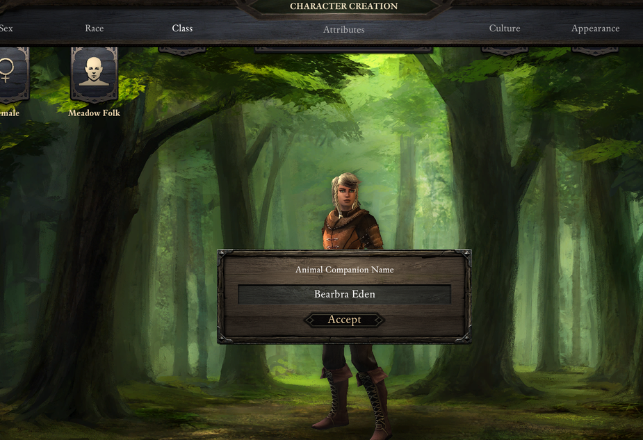 Pillars of Eternity diary: playing as a party of bears | PC Gamer