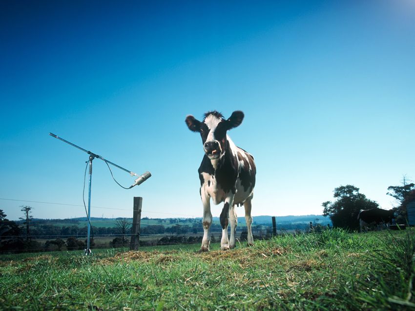 11 special FX design tips | MusicRadar