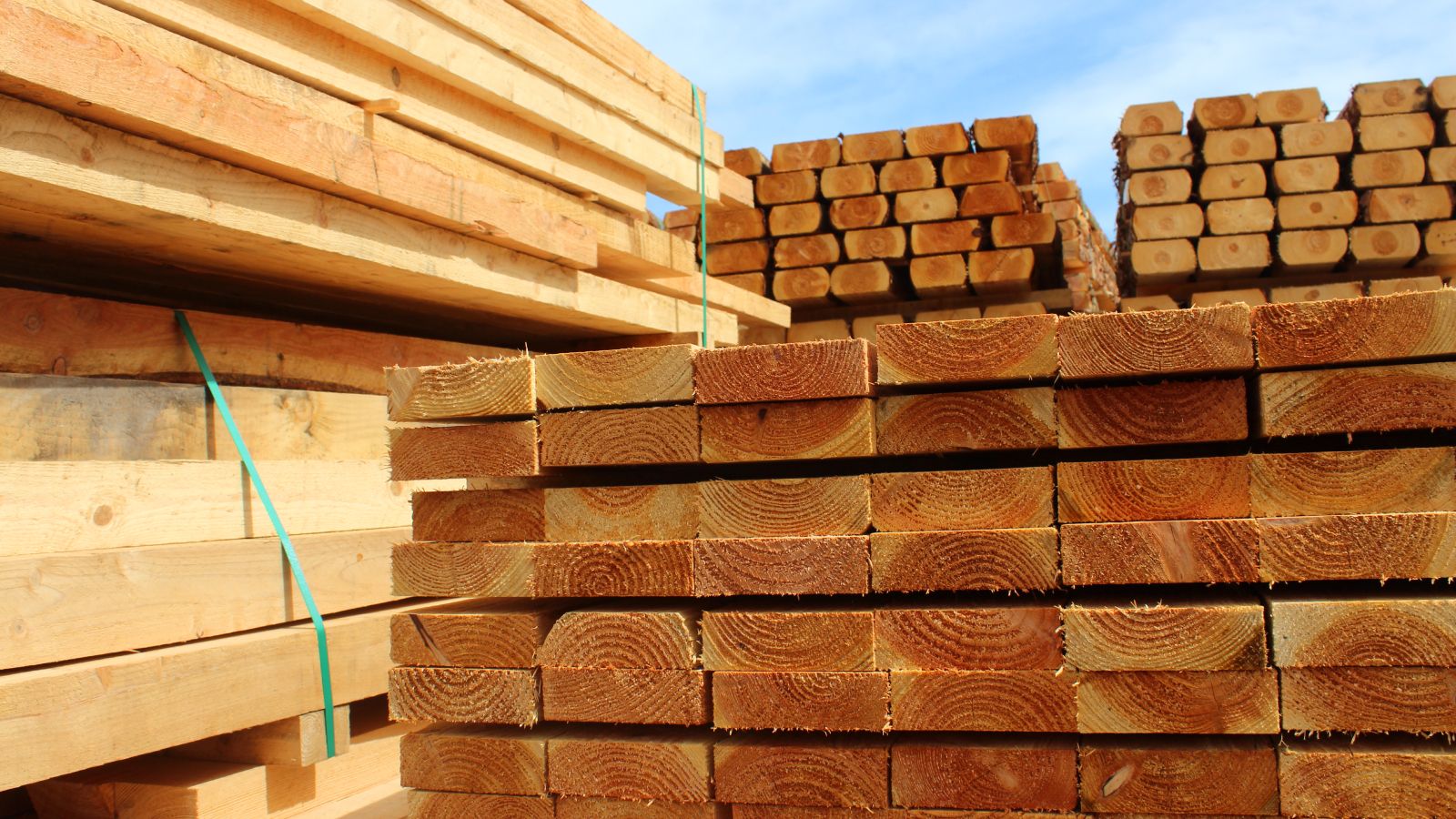 What is C16 timber and where can you use it? | Homebuilding