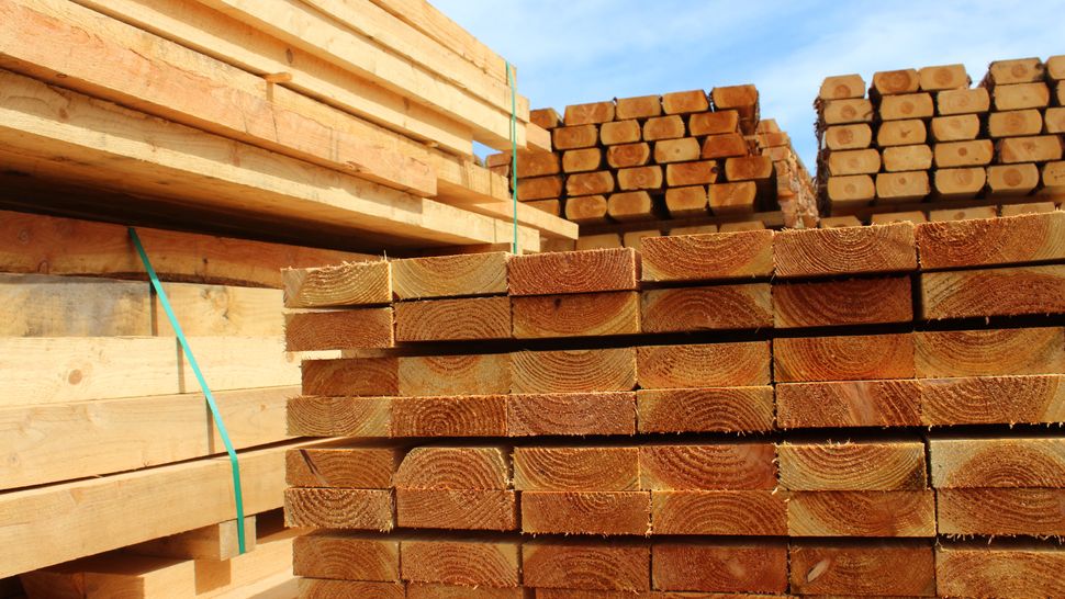 What is C16 timber and where can you use it? | Homebuilding