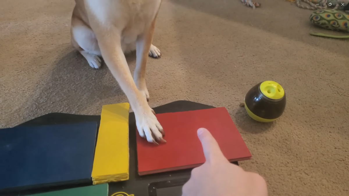 A speedrunning dog named Peanut Butter just beat an obscure 1985 NES ...