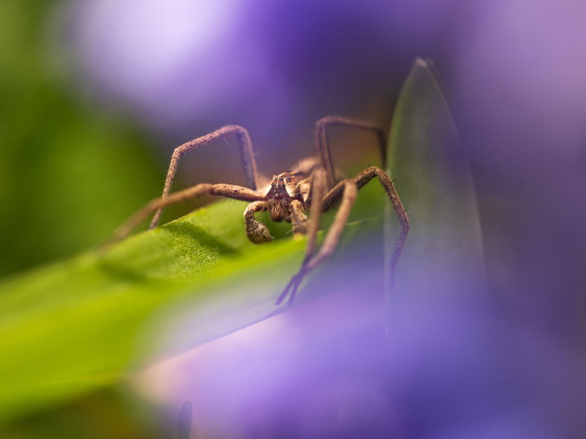 The Olympus OM-1 is amazing! These are my 5 reasons why | Digital ...