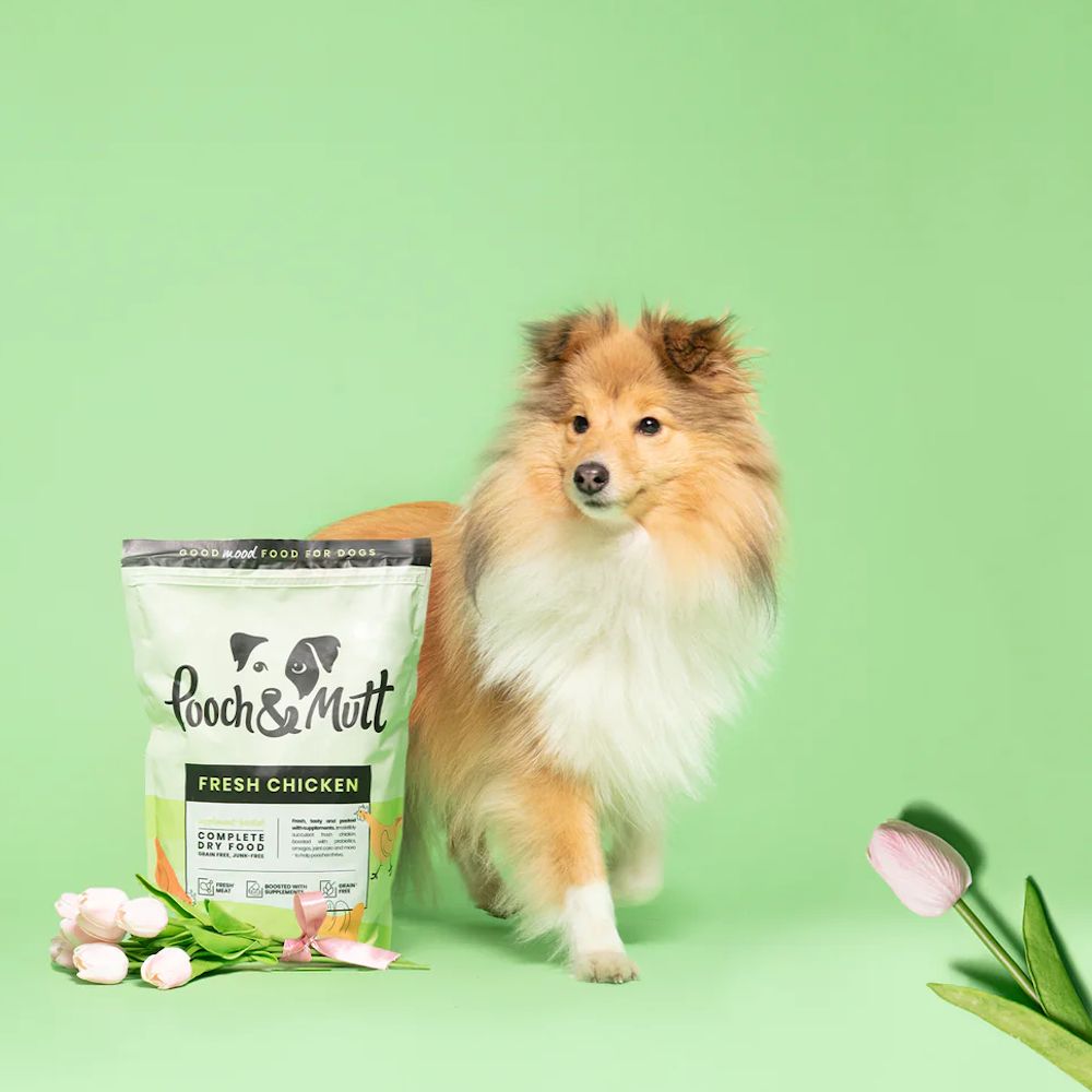 Pooch & Mutt discount codes - 20% OFF for July 2025