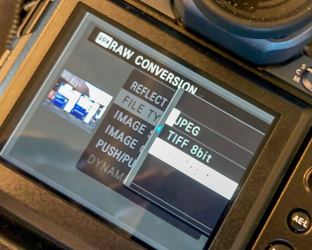 This is what a 600MB 16-bit TIFF shot on a Fujifilm GFX100 looks like ...