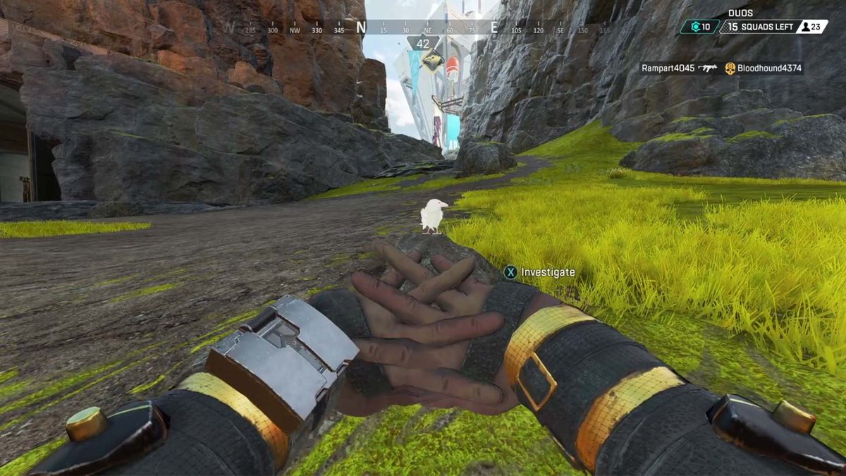 How to find the Apex Legends white raven for the Bloodhound quest ...