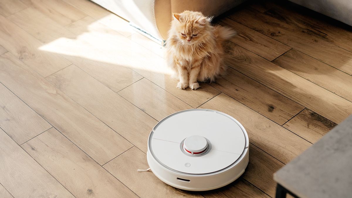 How to clean a robot vacuum cleaner in 6 easy steps | Homes and Gardens
