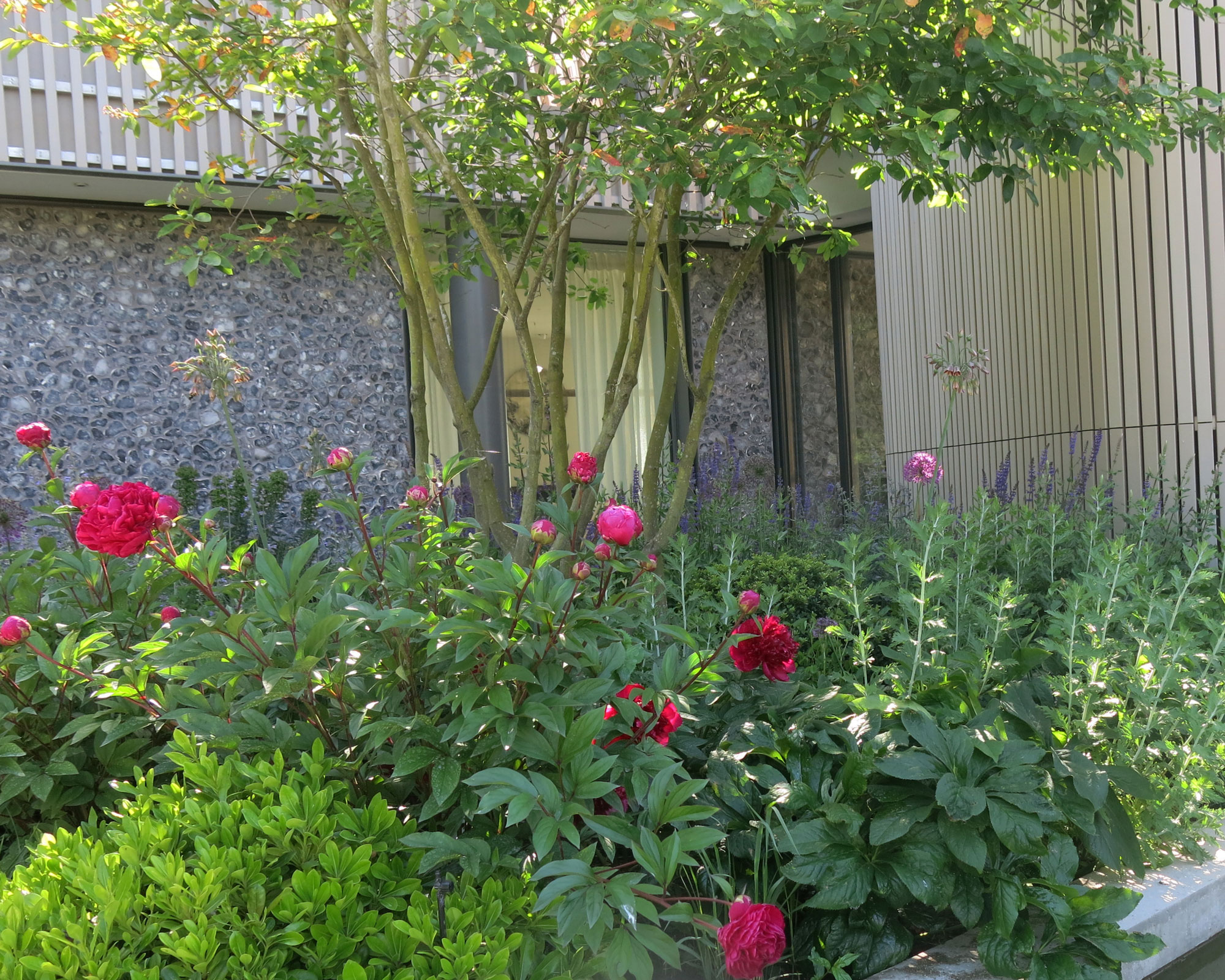 Garden color schemes: how to choose a garden color scheme | Country