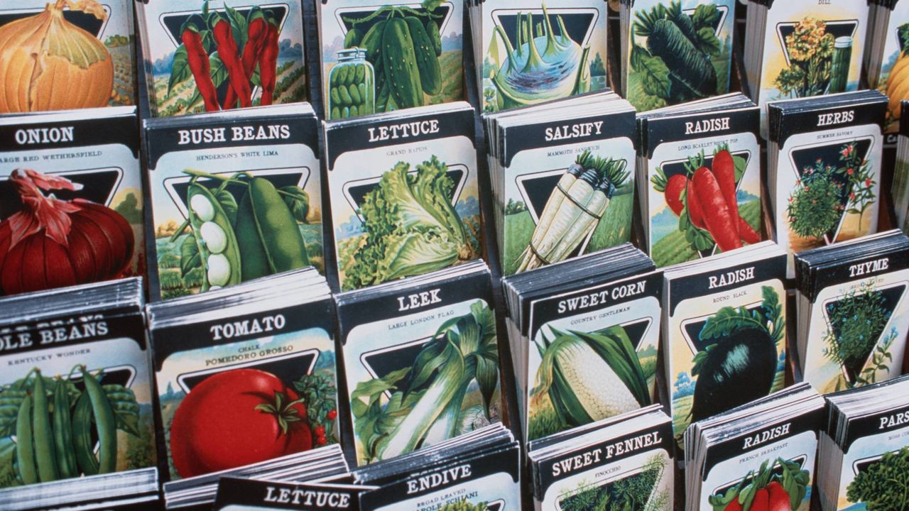 9 Seeds to Buy in January 2026 Before They Sell Out | Gardening Know How