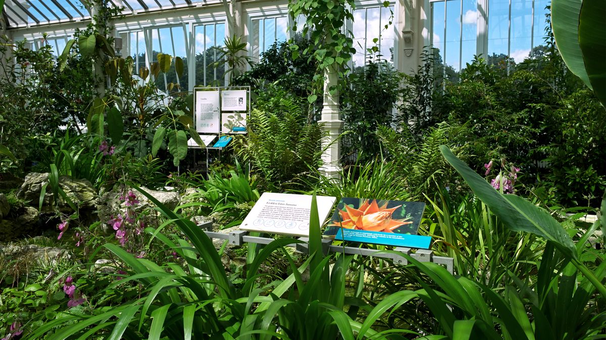 'There was a creative void that we both wanted to fill': a day in the ...