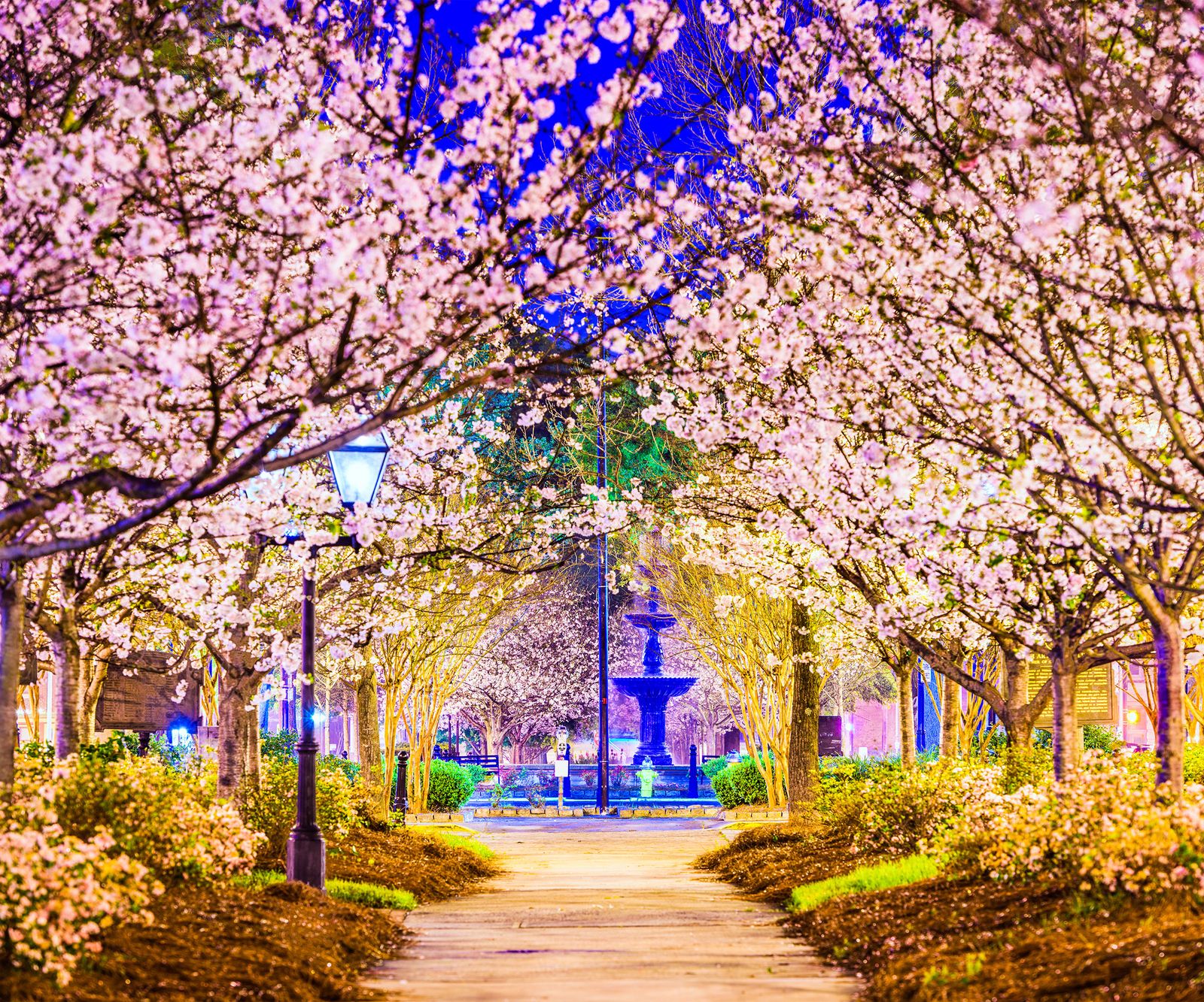 10 Flower Festivals To Visit For The Ultimate Inspiration | Gardening ...