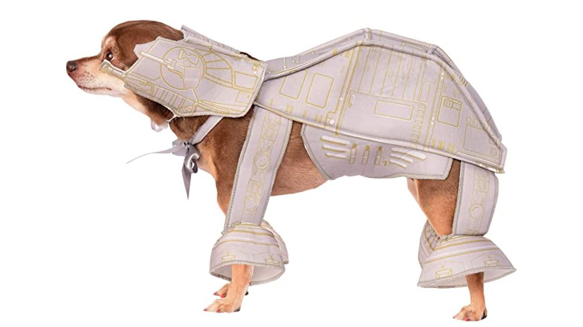 Best Star Wars costumes: Outfits for conventions and fancy dress ...