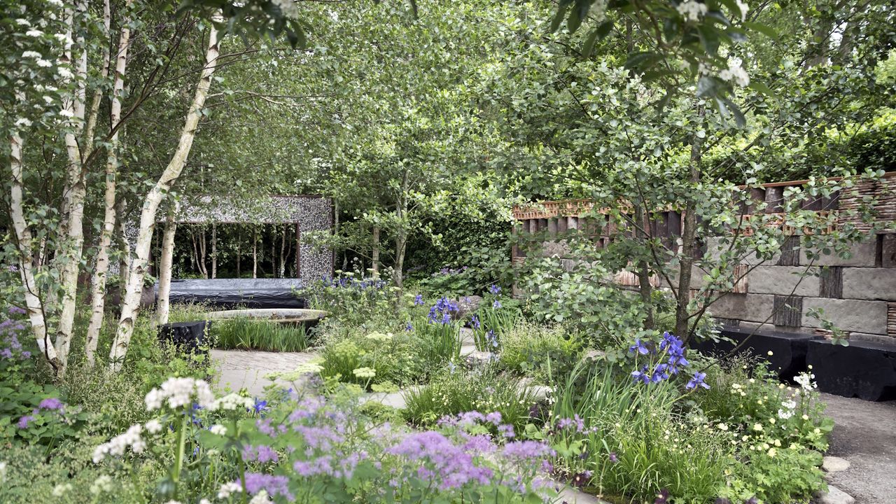 How and when to prune laurel: keep its growth in check | Homes and Gardens