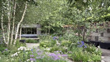 Invasive hedge plants to avoid and what to grow instead | Homes and Gardens
