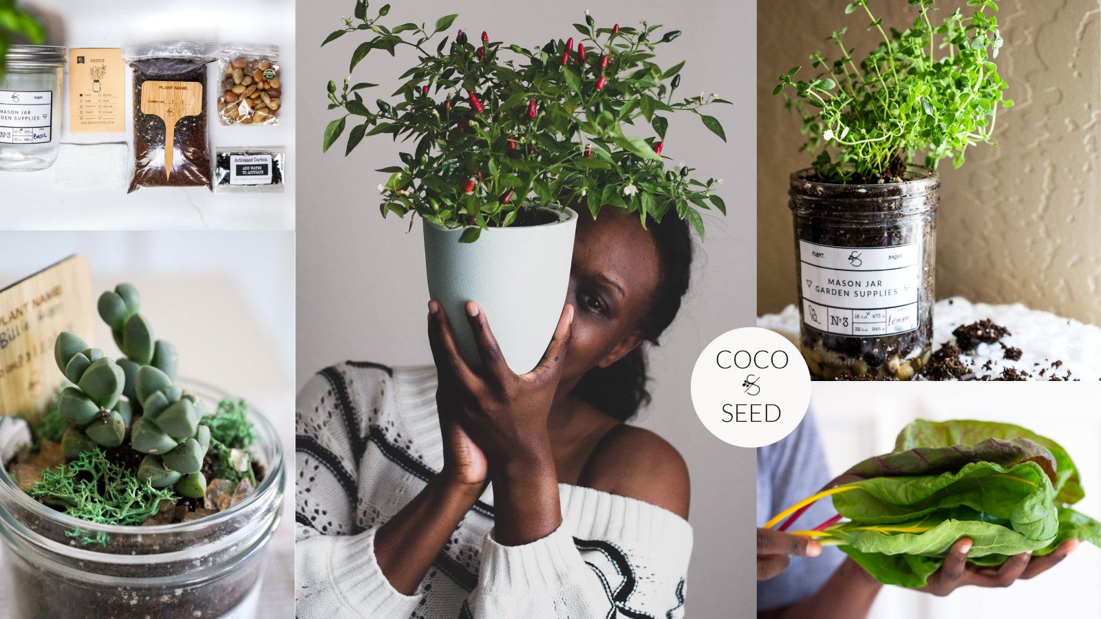 Coco & Seed - The Garden Kits People Actually Want This Year ...