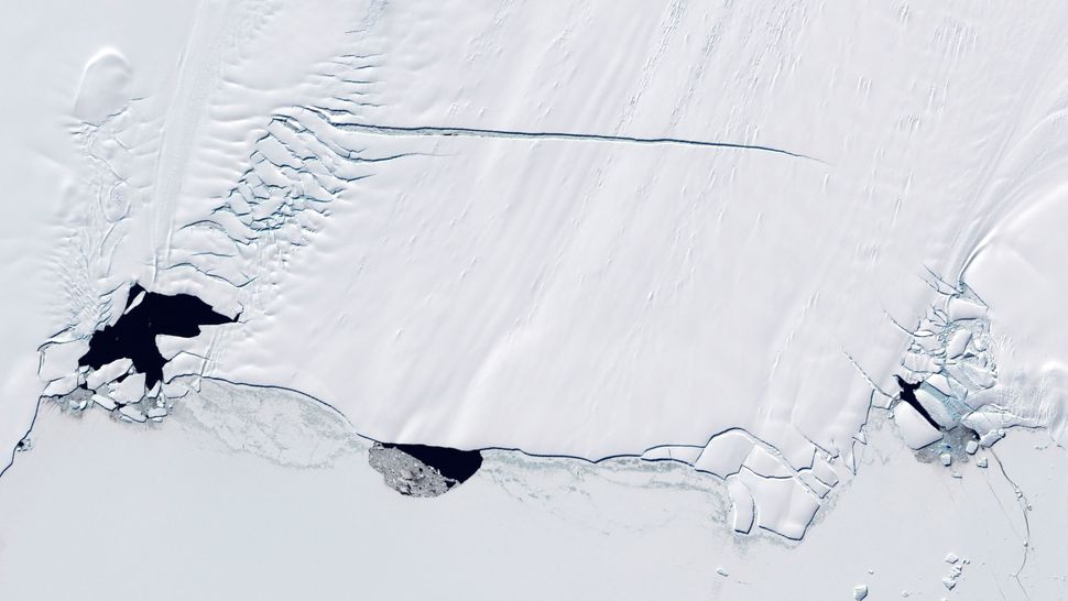 City-sized holes on Antarctica's ice shelves offer tantalizing 'window ...