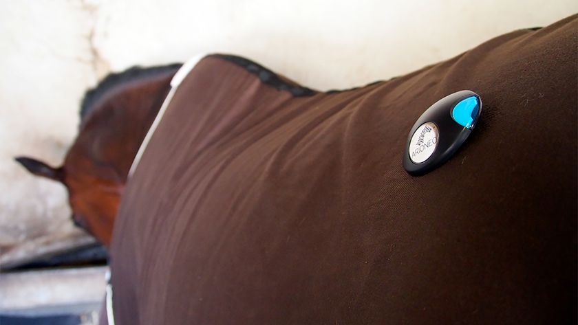 Fantastic beast tech: the wacky world of animal wearables | TechRadar