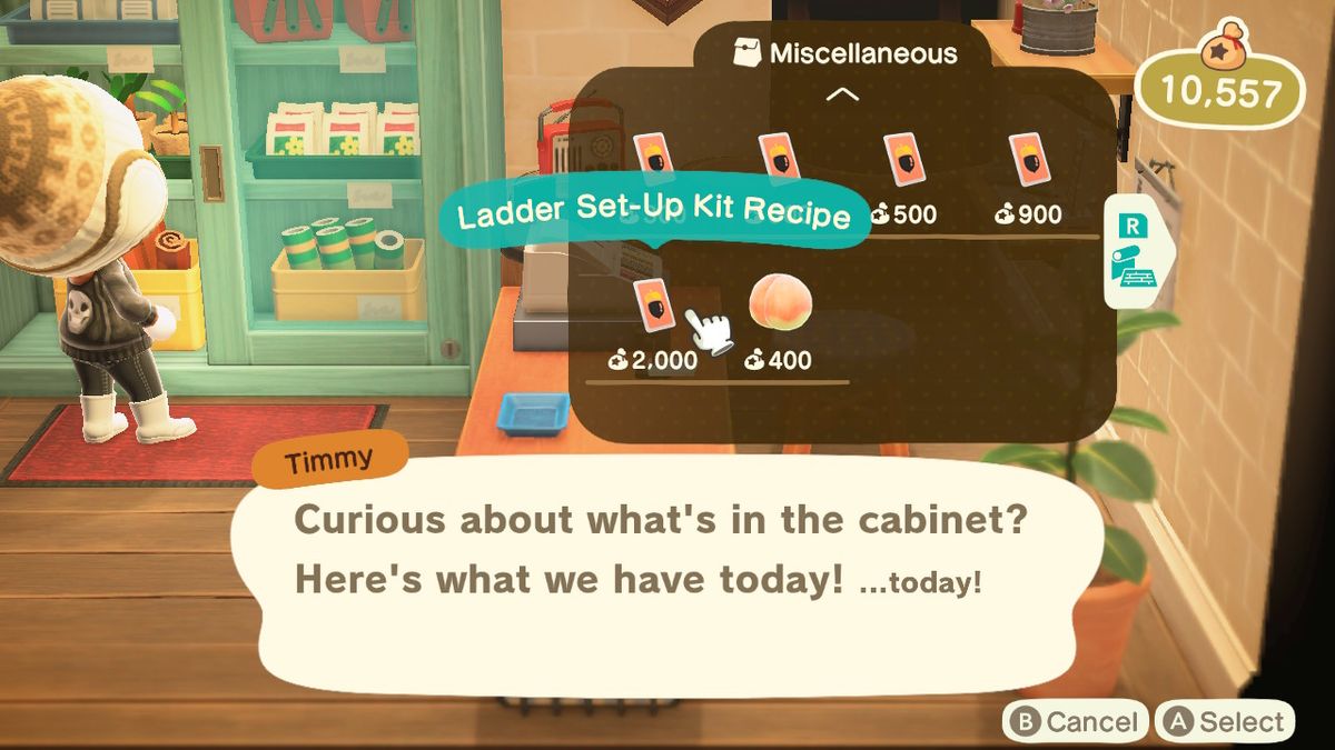Animal Crossing: New Horizons wooden ladder set-up kit guide | GamesRadar+