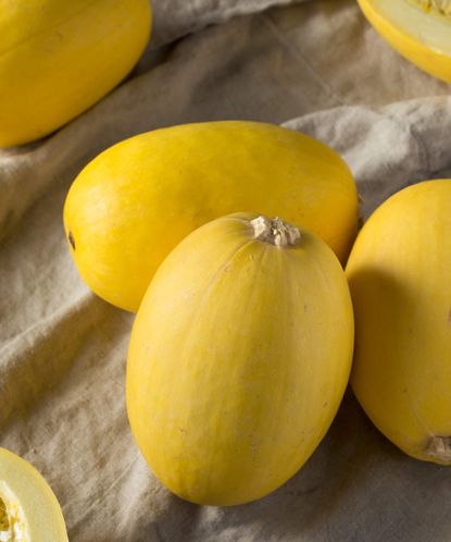 Expert tips to harvest spaghetti squash when they are ripe | Homes and ...