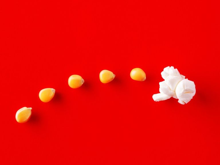 Popcorn Plant Info: Where Can You Find Popcorn Plants To Grow ...