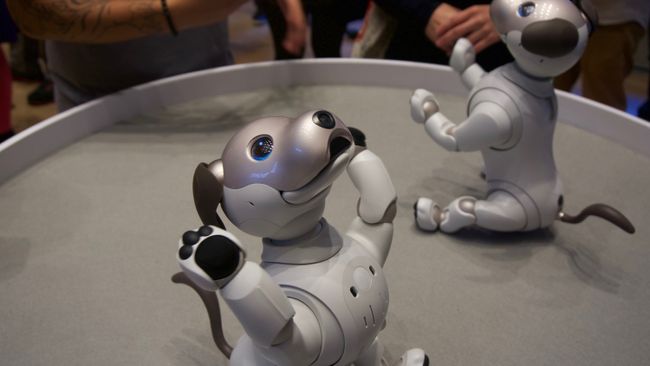 Hands on: Sony Aibo review | TechRadar