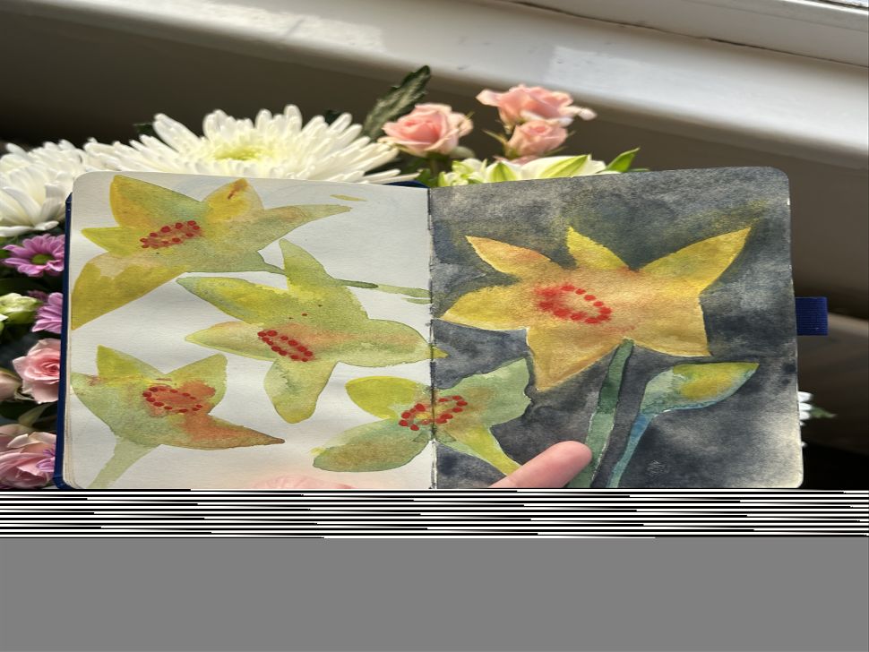 Inside the inspirational sketchbook of picture book artist Valerya ...