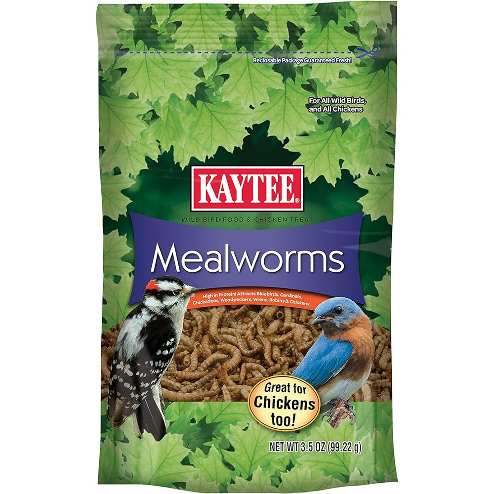 Best bird food 2025 to attract and feed hungry birds | PetsRadar