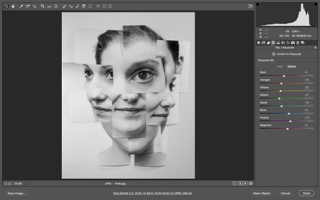 Home photography ideas: Make montage portraits worthy of David Hockney ...