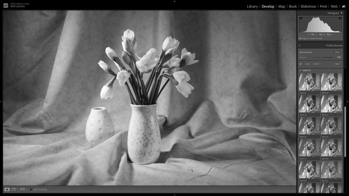 How to get started with black and white photography with a Canon camera ...