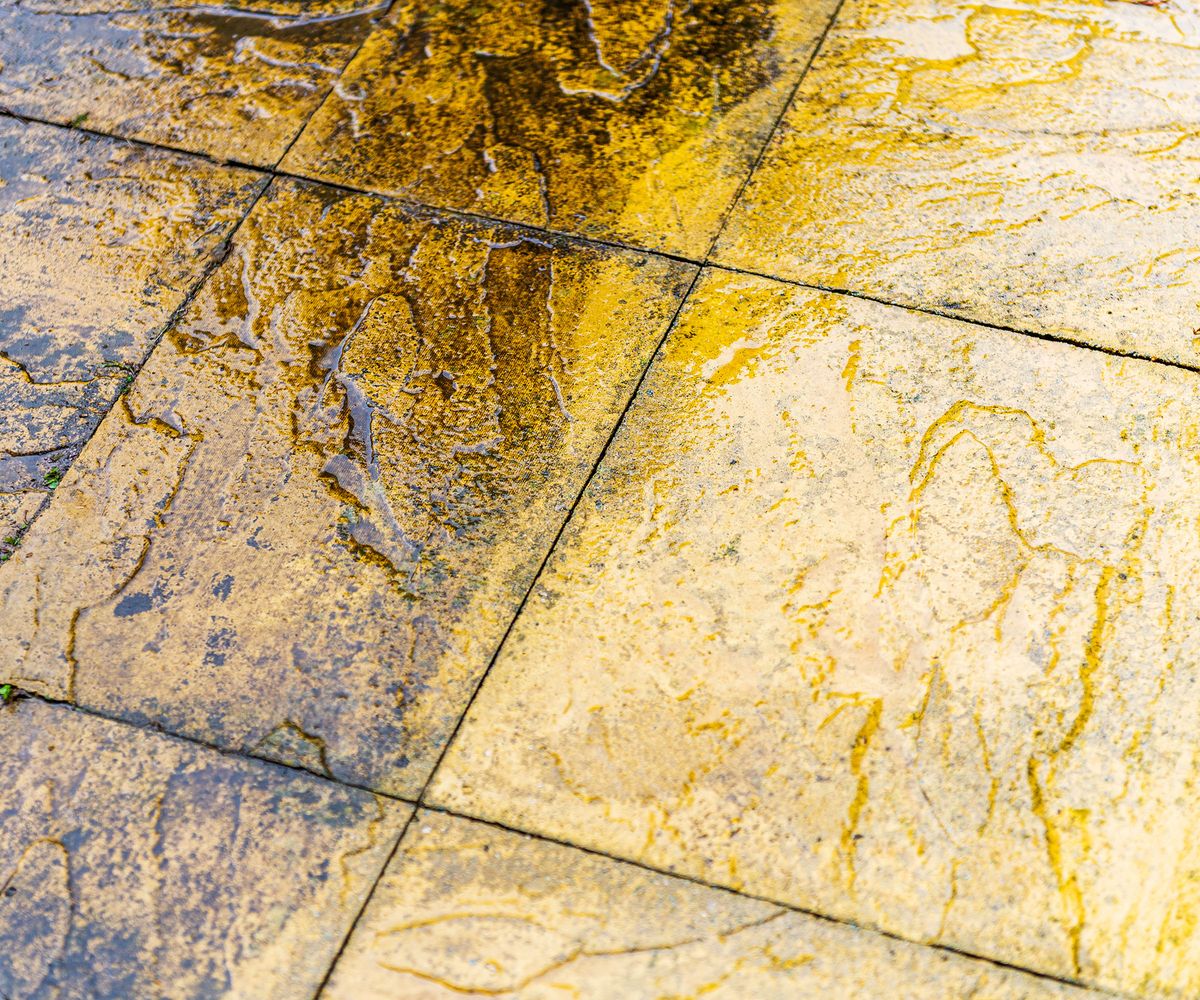 7 tips on how to remove algae from patio slabs | Homebuilding