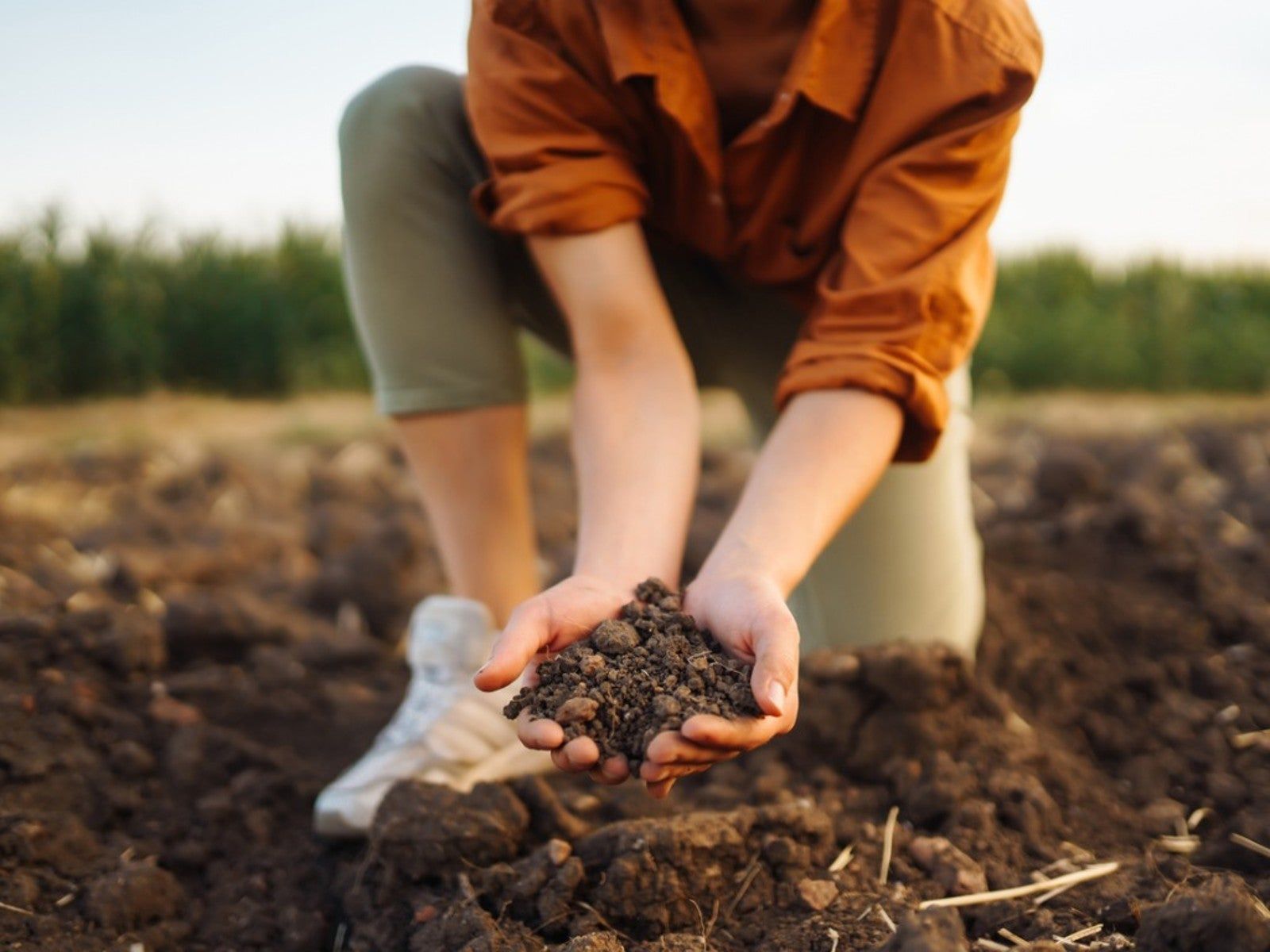 Silt Soil Characteristics And How It Affects Plants | Gardening Know How