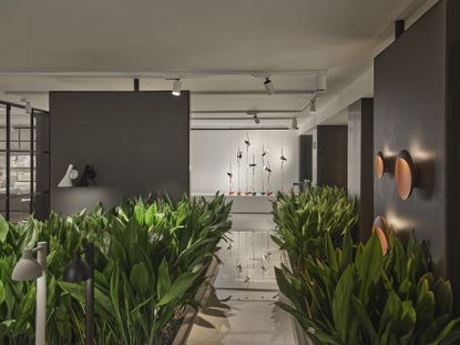 D Studio Milan: shop Italian and Danish design | Wallpaper*